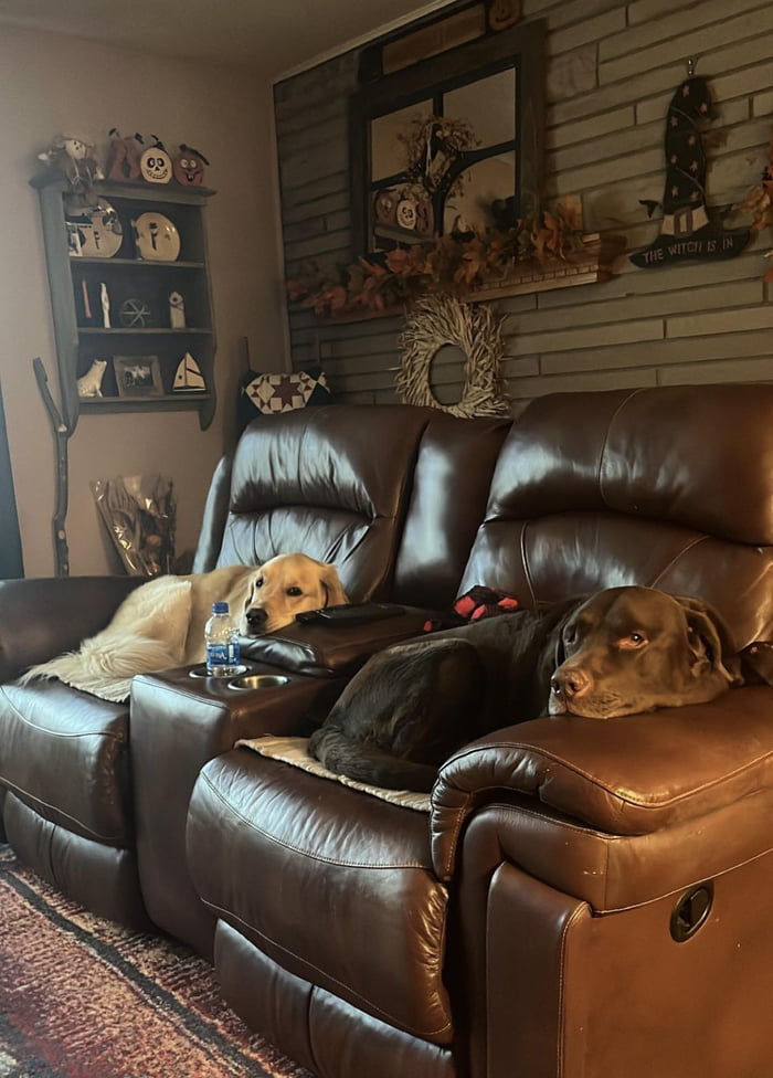 I’ll just sit on the floor it’s fine - 9GAG