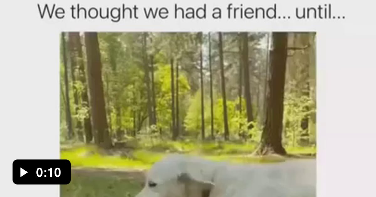 He was determined - 9GAG