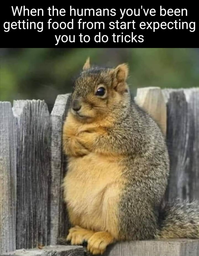 Why is there an obstacle course now?? - 9GAG