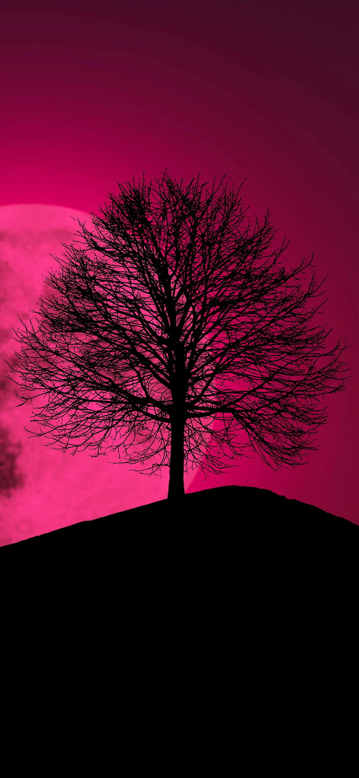 Make Out Hill - 9GAG