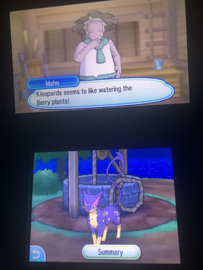 Why Liepard Do Dat? - 9GAG