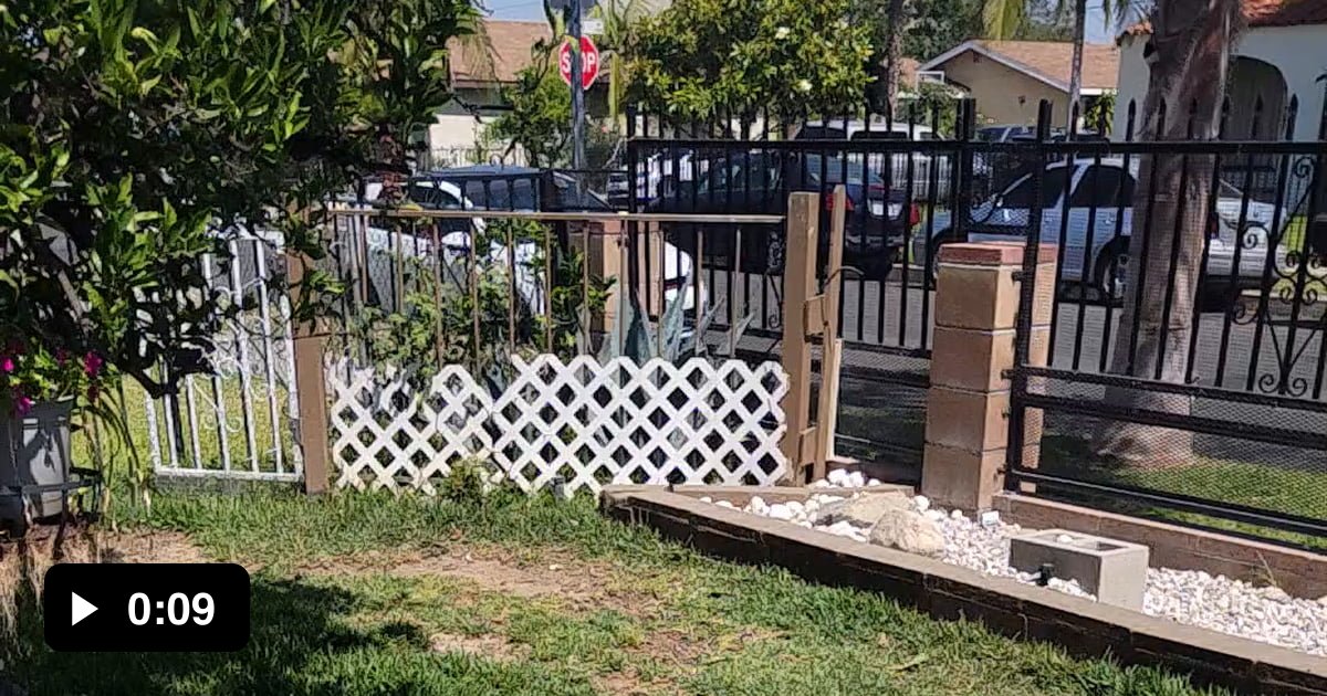 Check out my boy - 9GAG