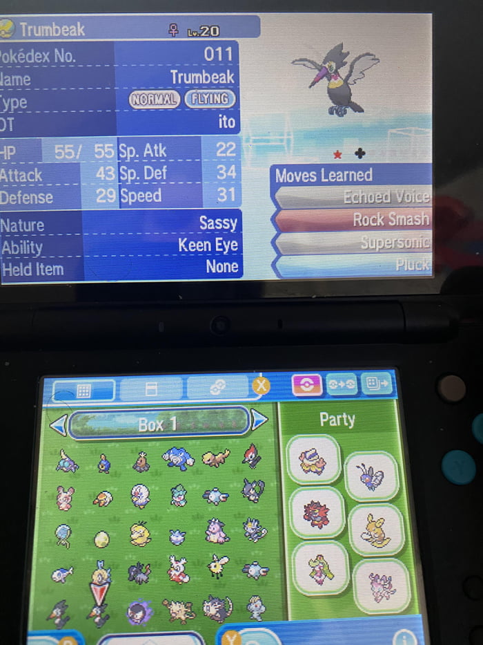 Caught a shiny Trumbeak when grinding - 9GAG