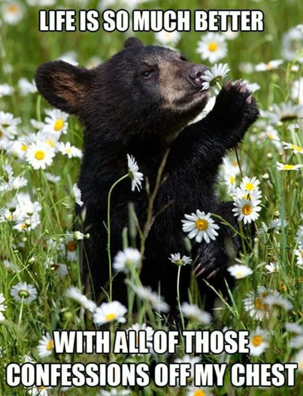 Poor bear! - 9GAG