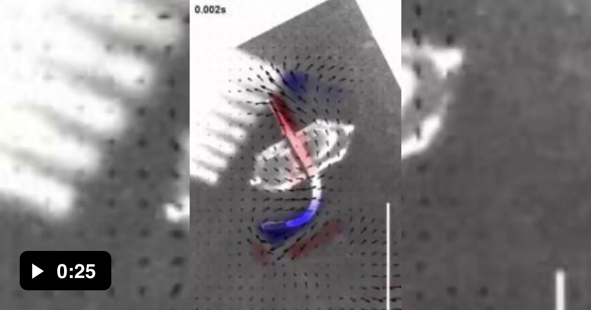 Biohybrid Fish Made From Human Heart Cells Learn How to Swim - 9GAG