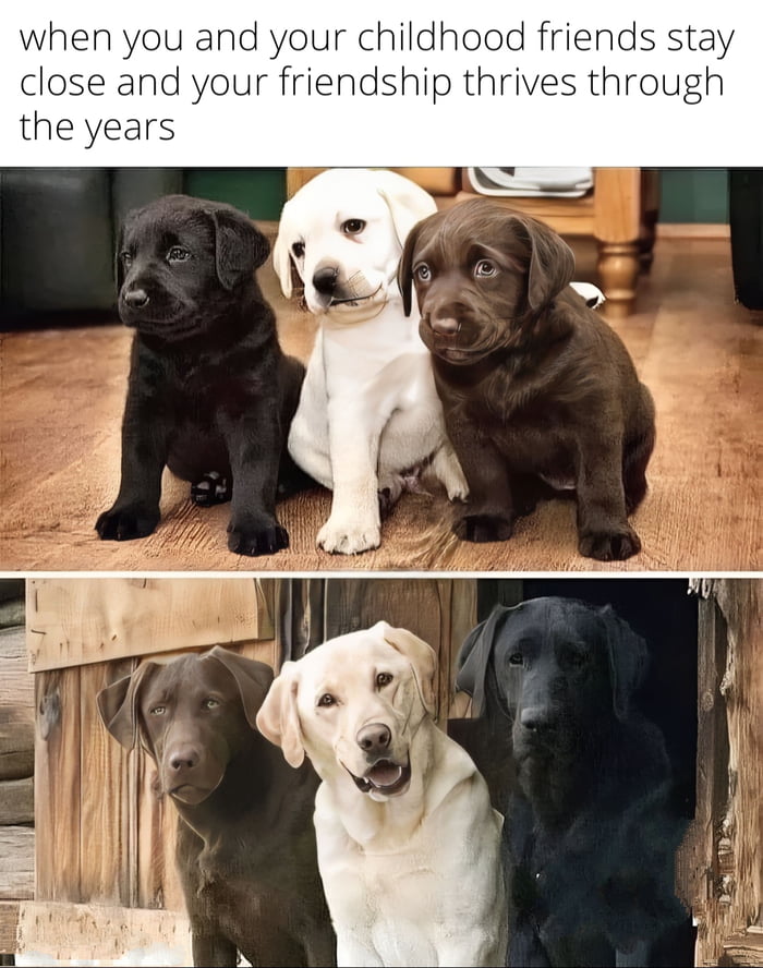 Still those three boys - 9GAG
