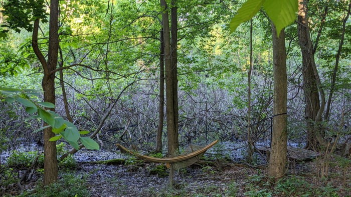 Cozy at the swamp - 9GAG