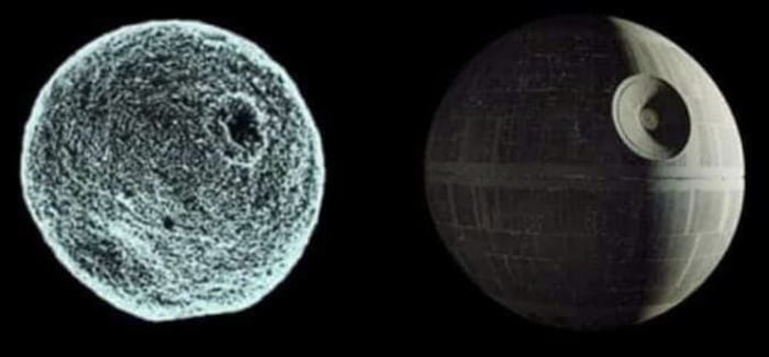 Man-flu Virus vs. Death Star. Any more questions? I didn’t think so. - 9GAG