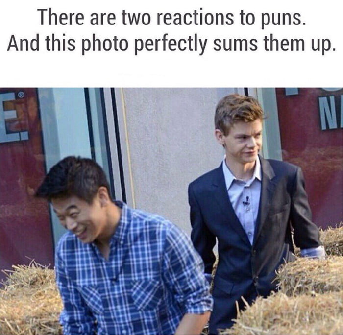 Two reactions to puns - 9GAG