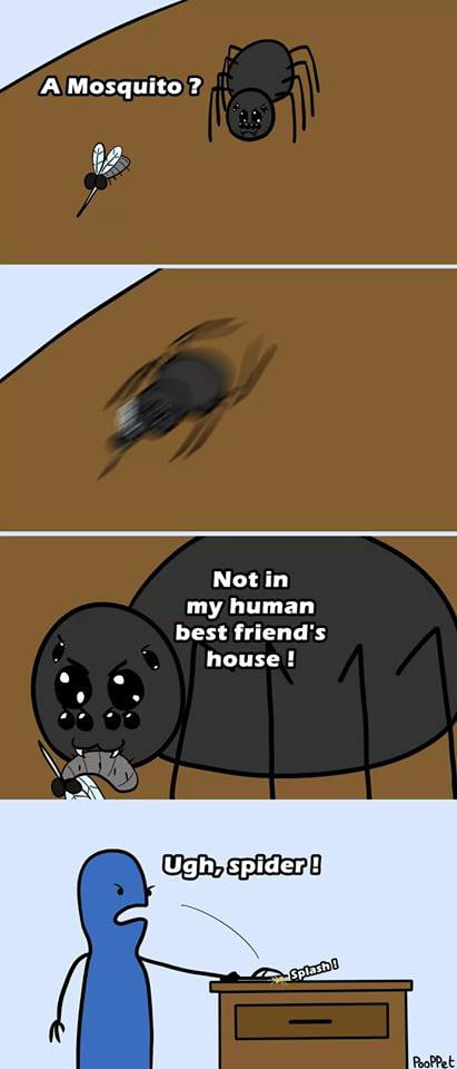 Goddamnit kevin i was just trying to help - 9GAG