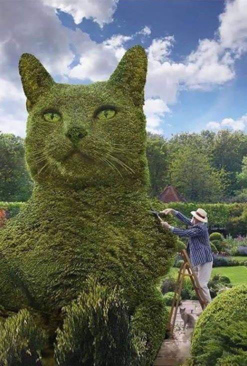 Those are some mad gardening skills - 9GAG