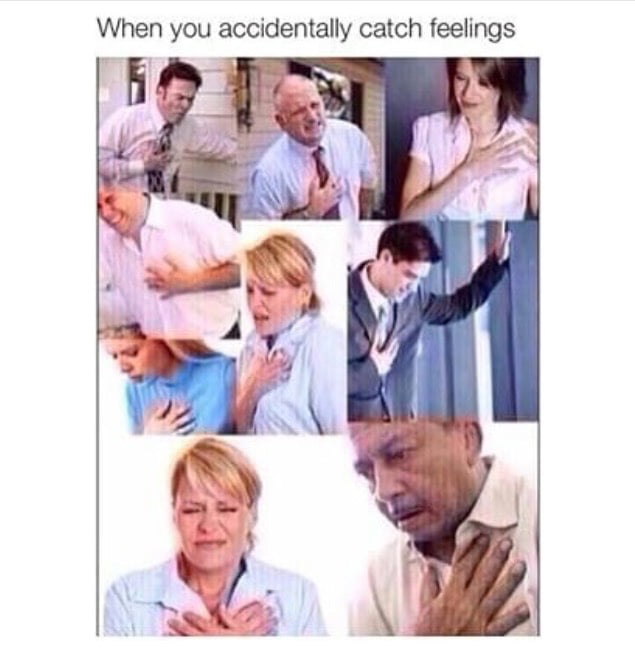 Shoo get away - 9GAG