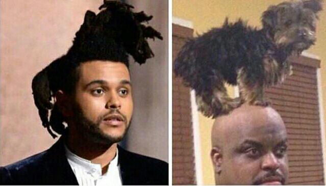 Internet Explorer : "Look at the weird hair of Weeknd" - 9GAG