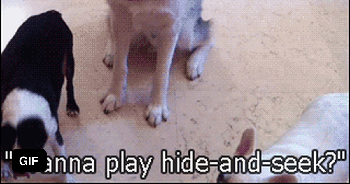 Hide and Seek - 9GAG