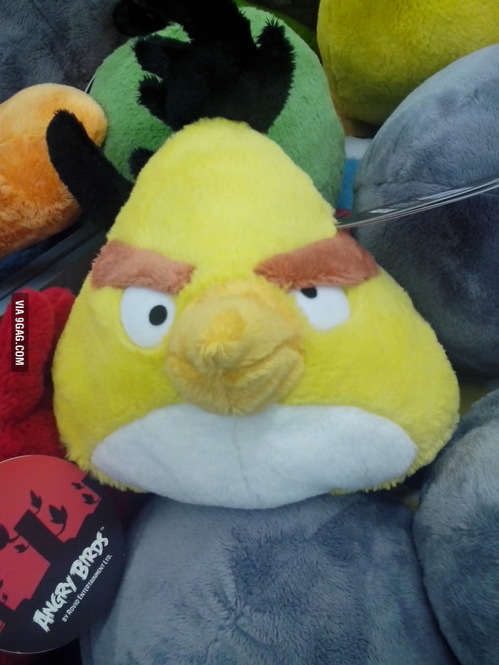 Angry Derp - 9GAG