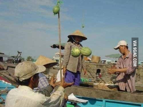 Melons! Big juicy melons!! - 9GAG