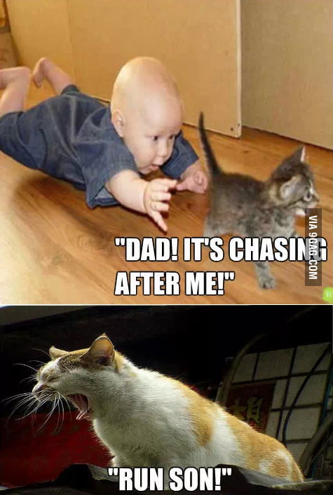 Run son! - 9GAG