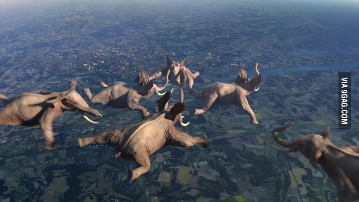 Googled: "Skydiving elephants". Was not disappointed. - 9GAG