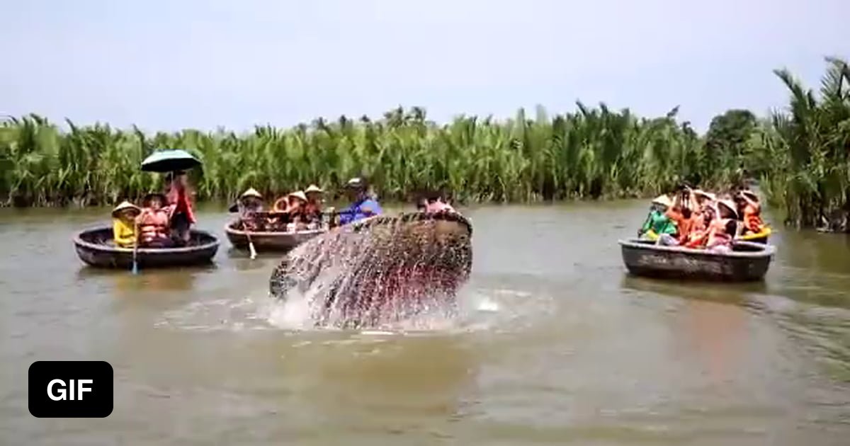 Such skill much wow - 9GAG