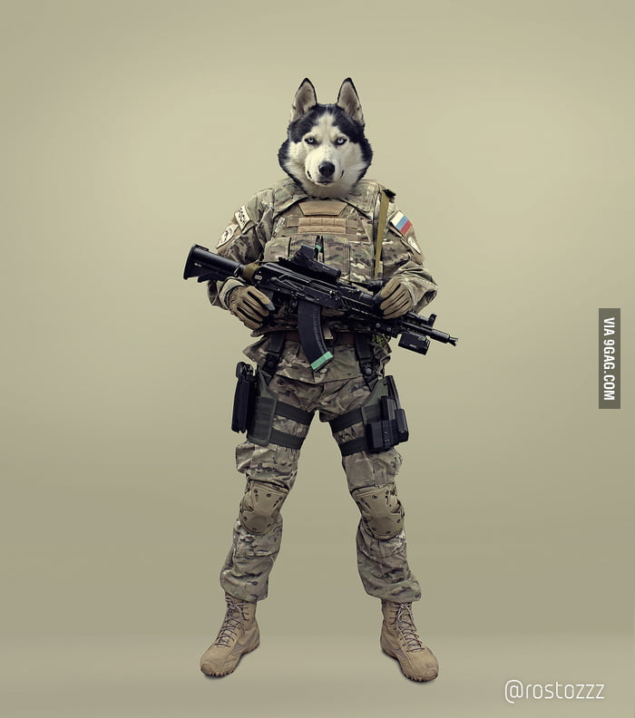 Tactical Husky - 9GAG