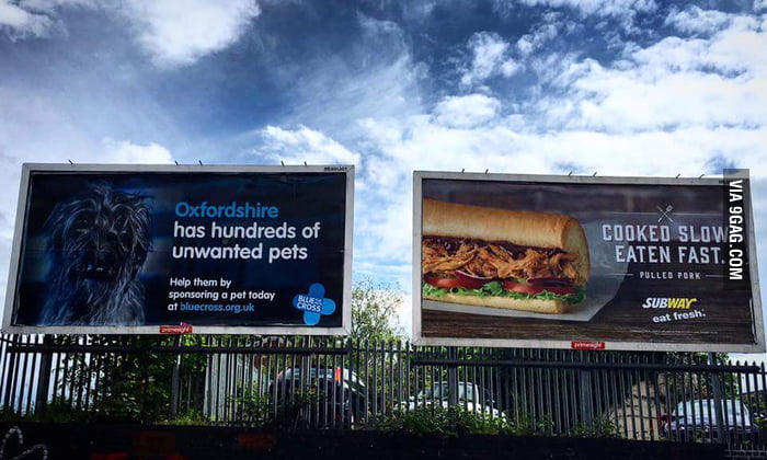 Unfortunate sign placement. - 9GAG