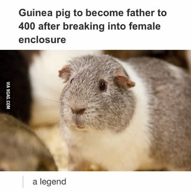 A legend - 9GAG
