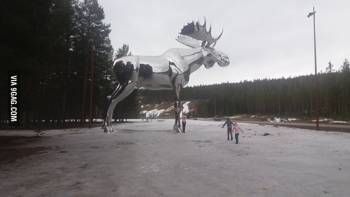 World's tallest moose curently in Norway. Human for scale. - 9GAG