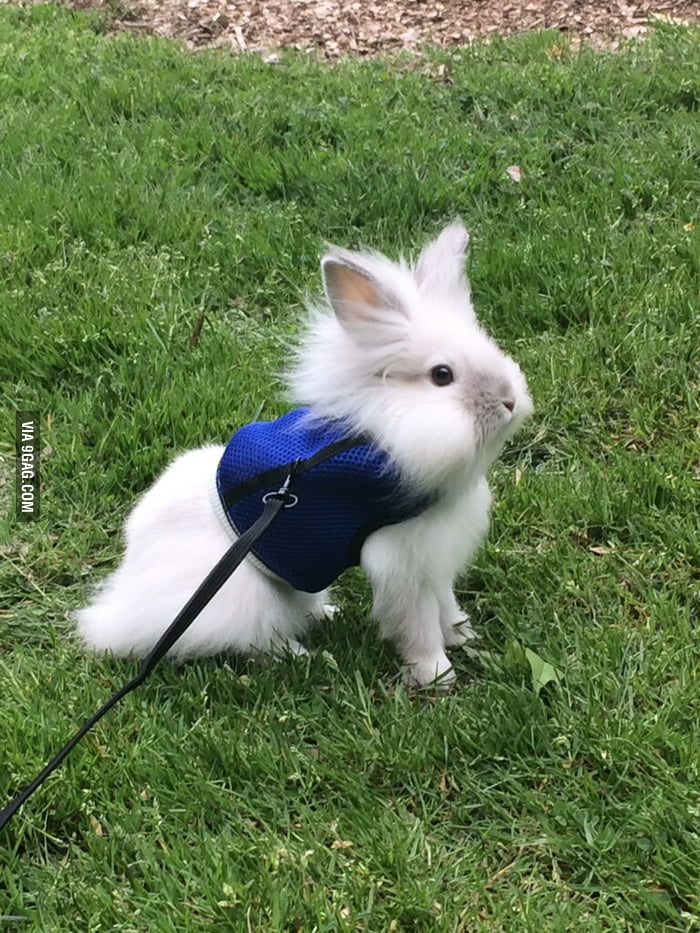 Our day at the park - 9GAG