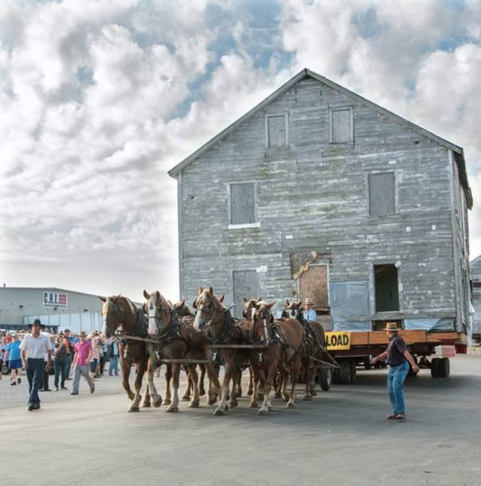 Amish moving house with horses. - 9GAG