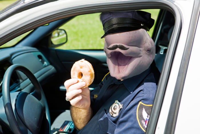Dolphin Cop - 9GAG