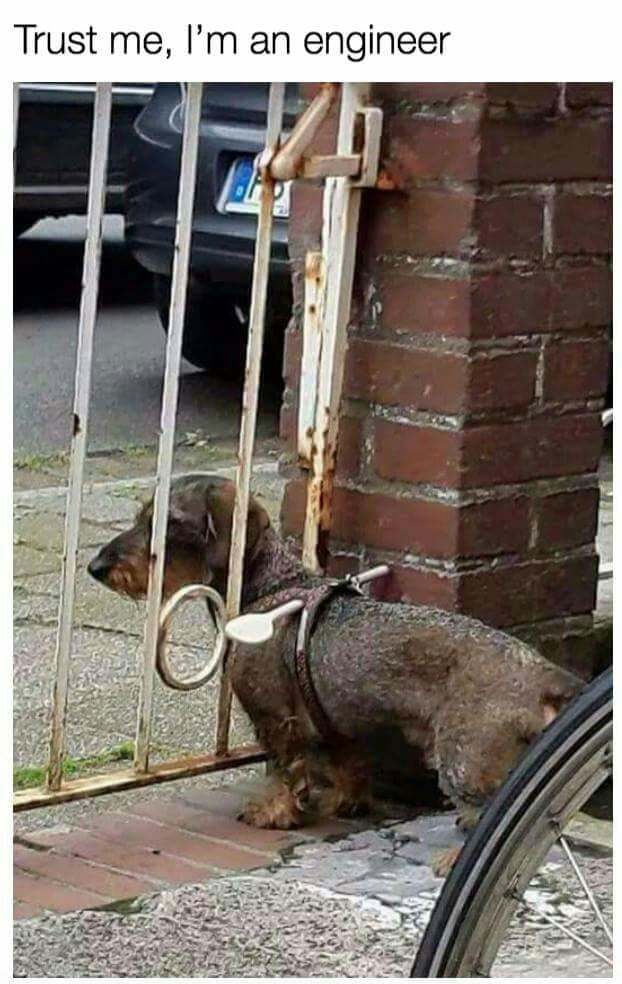 Spoon a dog today! - 9GAG