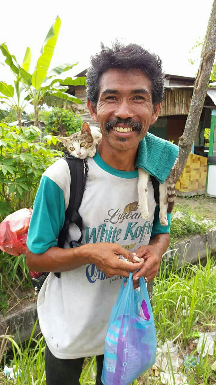 Indonesian "a street cat named bob" (this homeless old man take care of ...