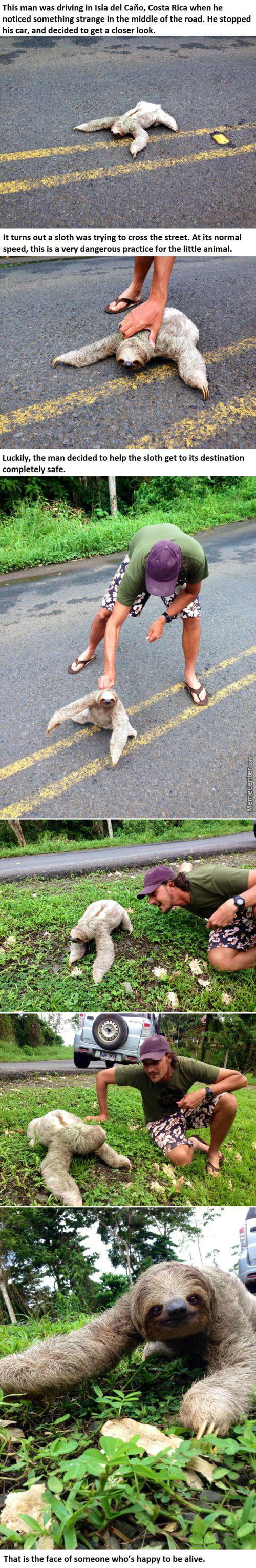 Sloth Has Been Saved! - 9GAG