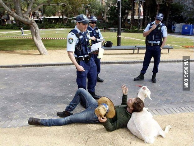 Googled most Australian thing ever and I was not dissapointed - 9GAG