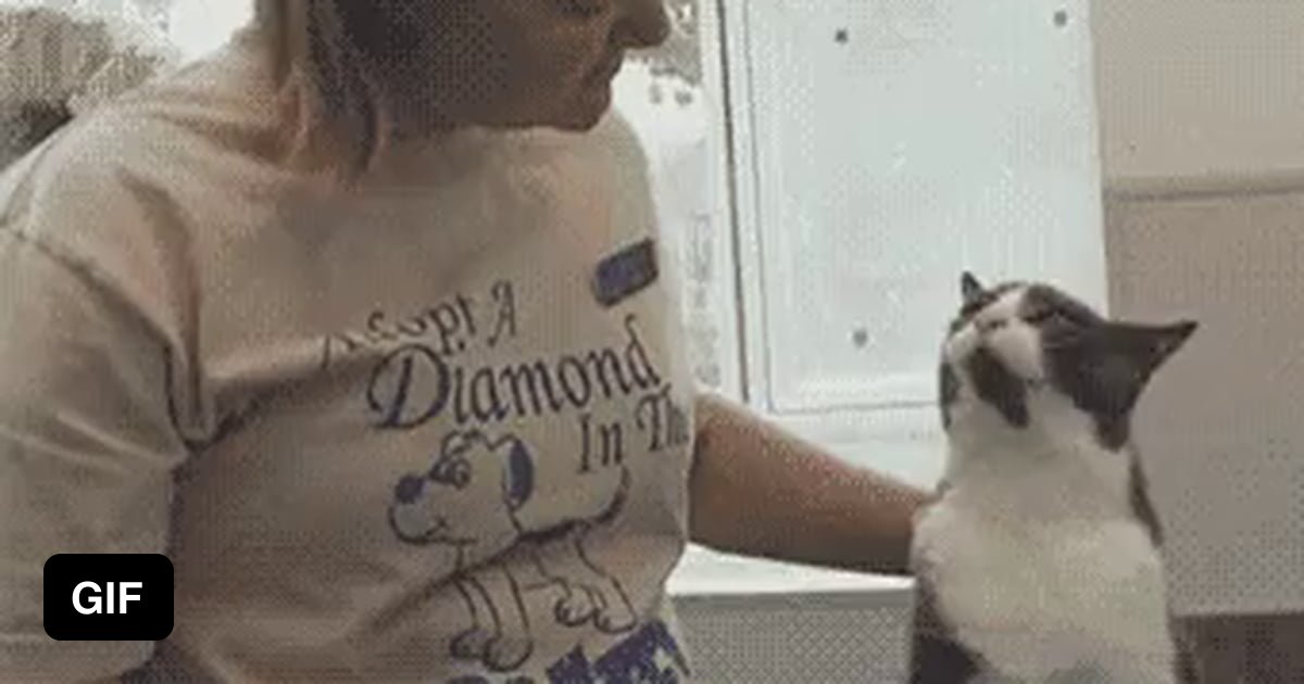 I scratch your back; you scratch mine. - 9GAG