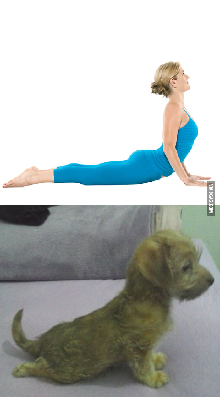 Yoga time! - 9GAG