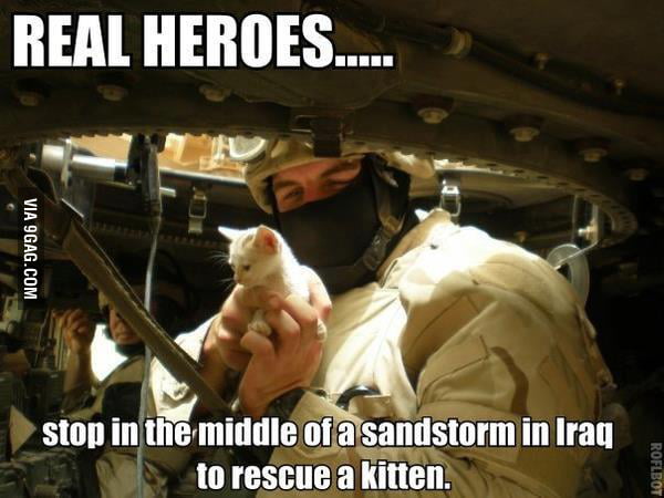 Cat marines > rest of the world. - 9GAG