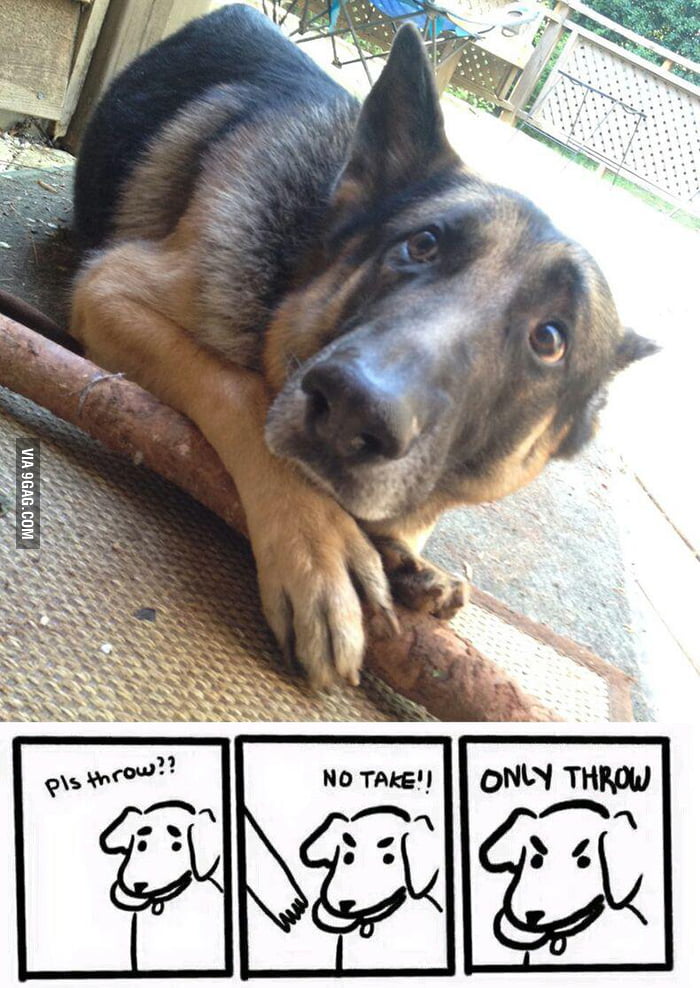 Pls throw? - 9GAG