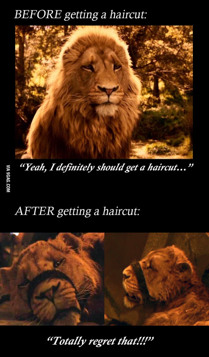 Aslan regrets it.... - 9GAG