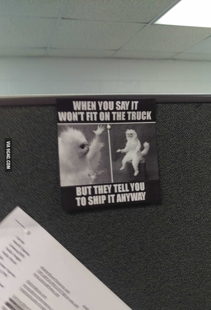 When the 50 yo Plant Manager has danker memes than you - 9GAG