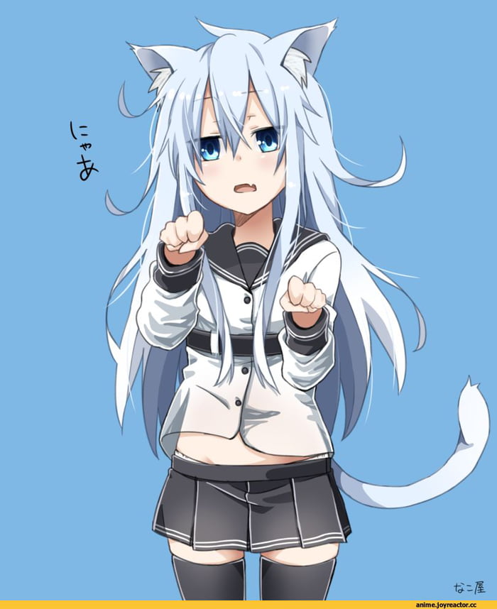 Why is neko Hibiki so cute - 9GAG