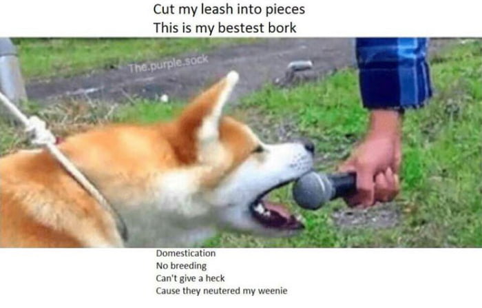 THIS IS MY BESTEST BORK - 9GAG