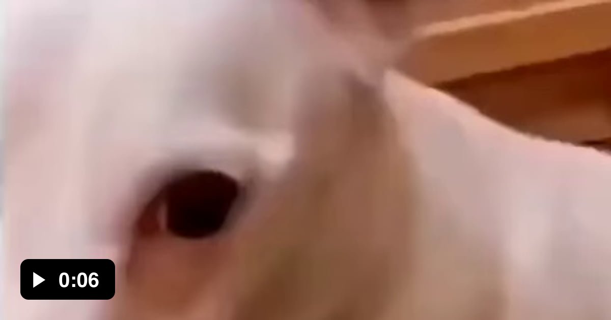 Start your engine - 9GAG