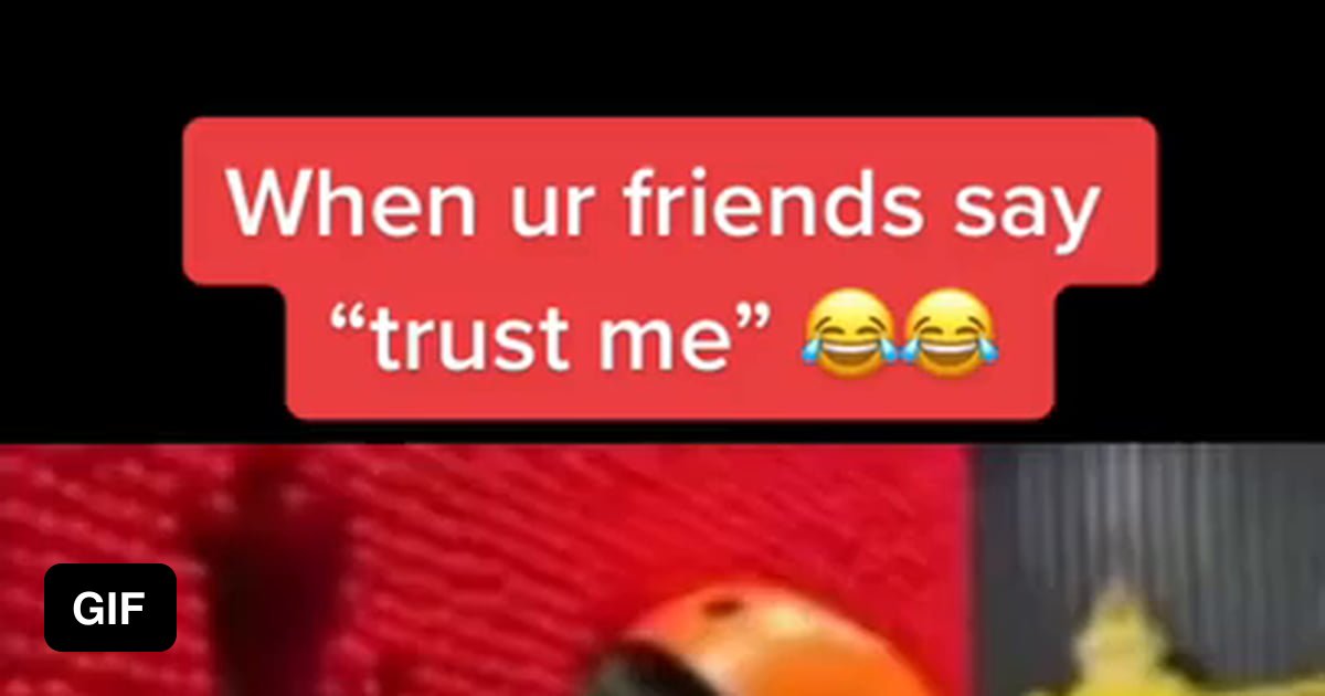 Cursed Trust Exercise - 9GAG