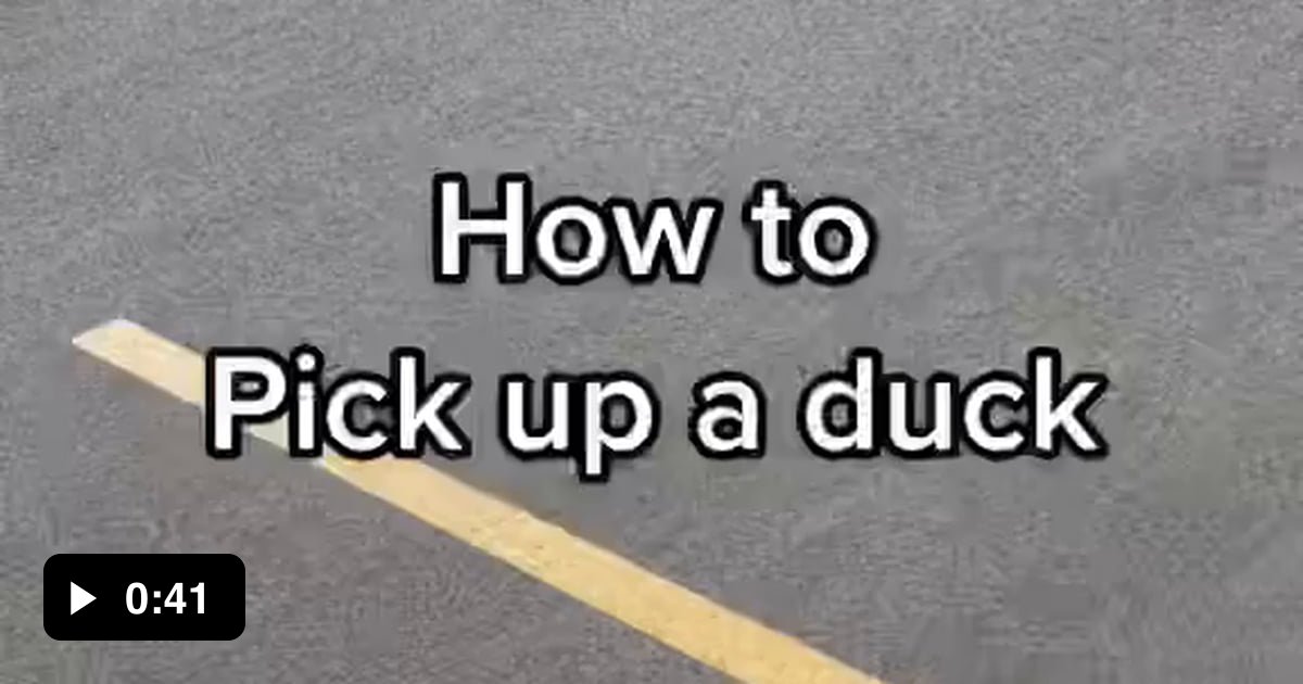 Here is a tutorial, how to pick up a duck, you never know when you will ...