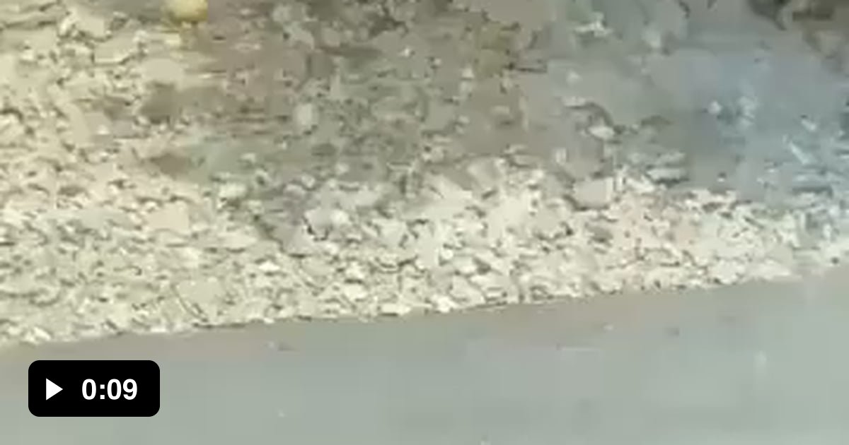 Nokia's Snake game is not responding - 9GAG