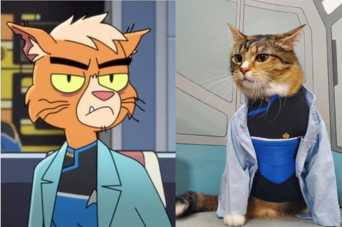 Gato cosplaying as Dr. T'Ana from Lower Decks - 9GAG