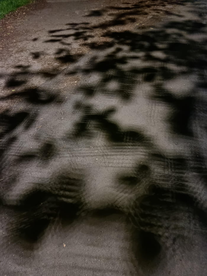 Shadows in real life looking like graphics on low 😂 - 9GAG