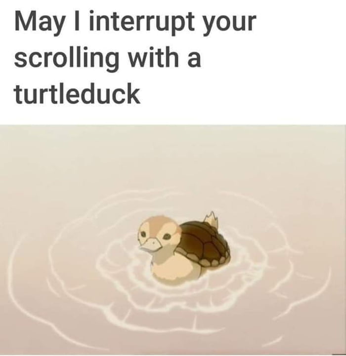 Happy scrolling - 9GAG