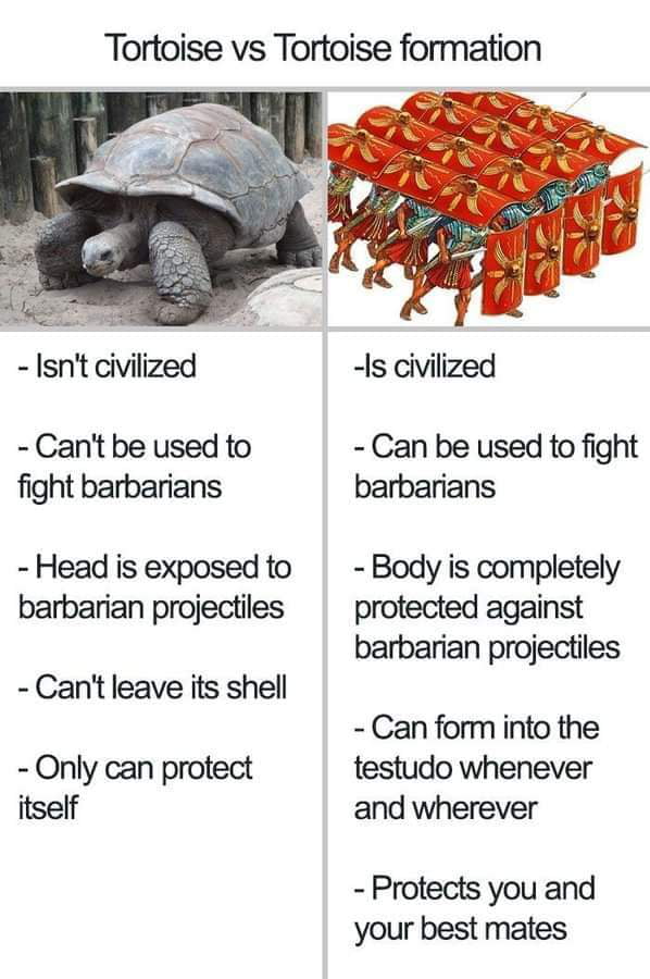 We need more testudo memes - 9GAG